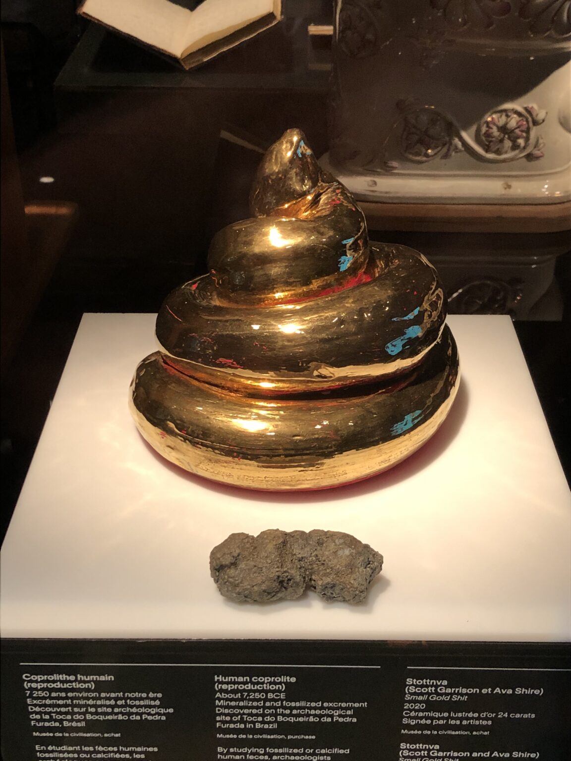 The Brilliance of Poop - The David Snider